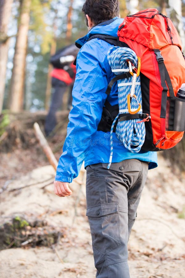 Rear View of Male Hiker with Backpack Standing in Forest Stock Image ...