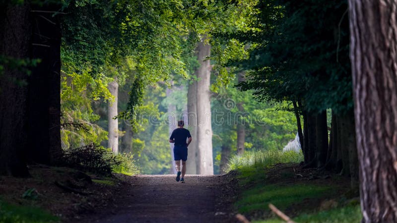 Rear View of a Male Running on a Path in the Forest Stock Image - Image ...