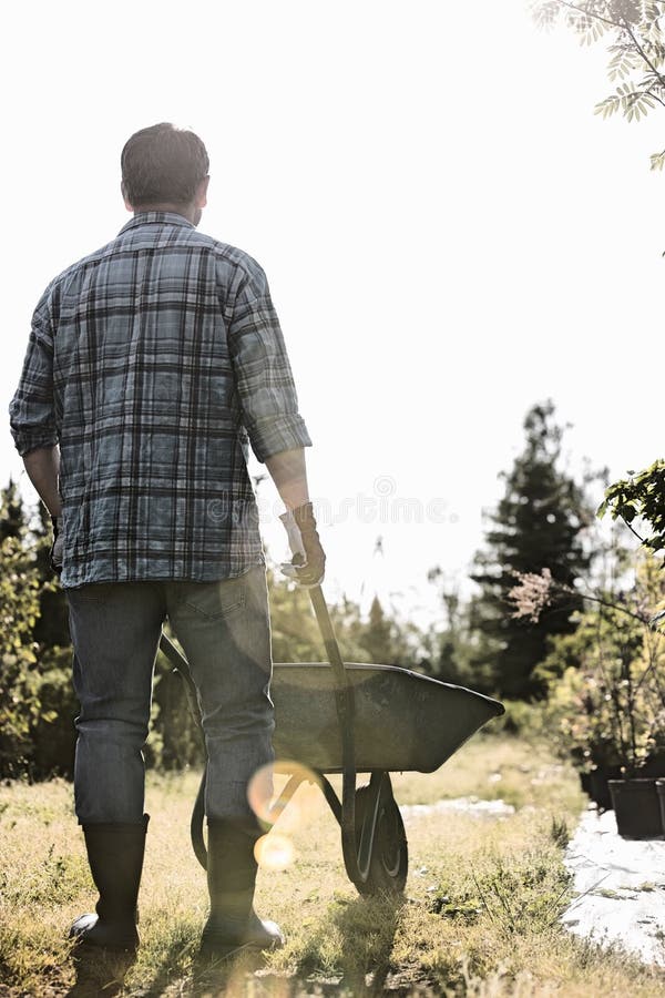 968 Man Pushing Wheelbarrow Stock Photos - Free & Royalty-Free Stock ...