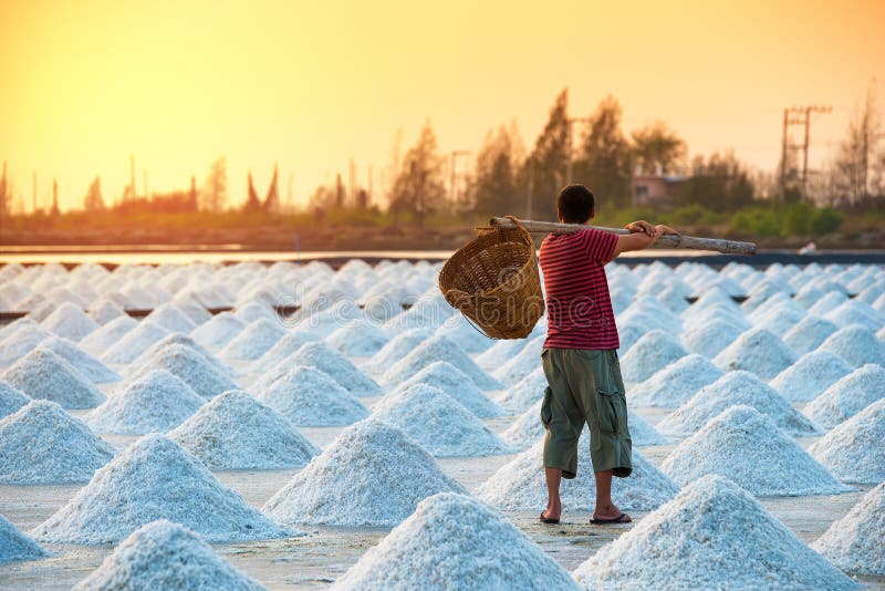 Salt Farm Trajectory of the Samut Sakhon Editorial Stock Photo - Image ...