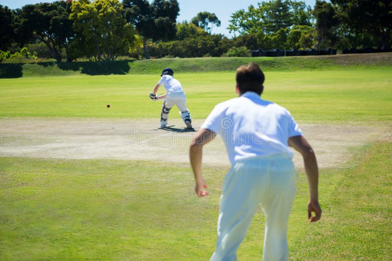 Rear View of Men Playing Cricket at Pitch Stock Image - Image of player ...