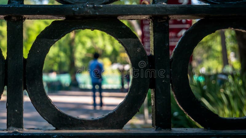 Rear View through Metal Gate of a Man Walking Stock Photo - Image of ...