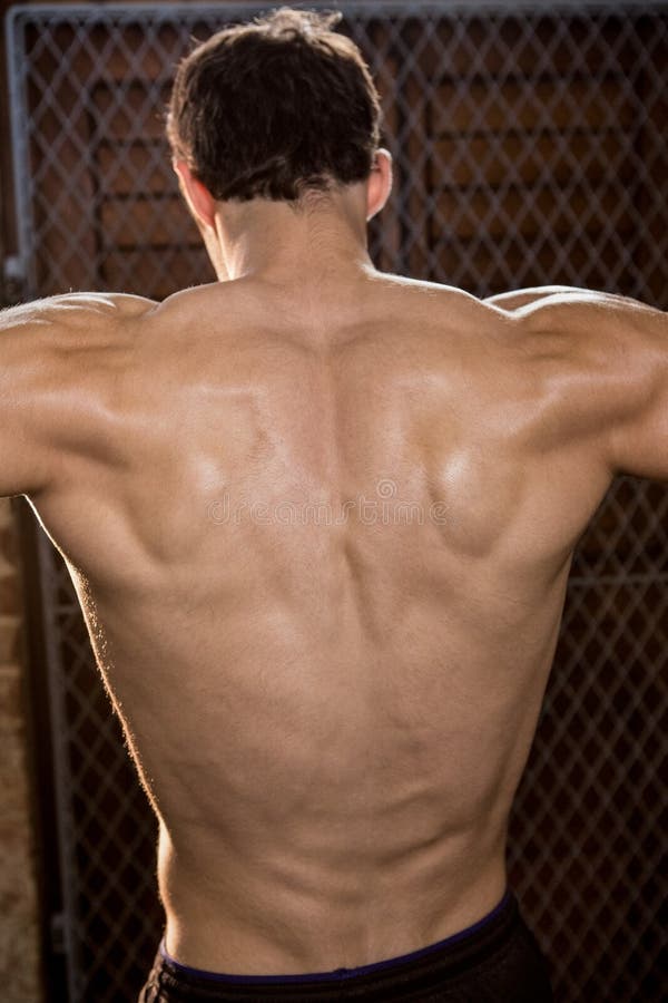 Rear view of muscular man stock image. Image of fitness - 60546709