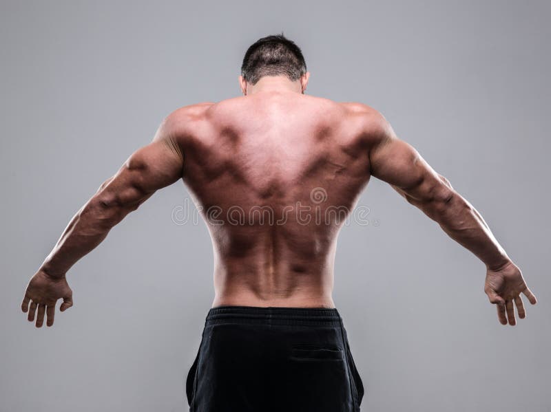 Rear View of a Muscular Man Stock Photo - Image of back, handsome: 48660922
