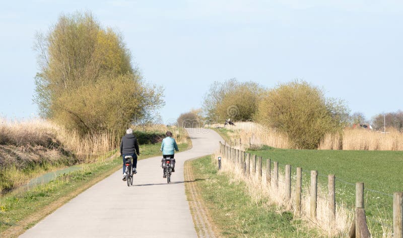Rear View of People Riding Bikes on Bicycle Path Editorial Photography ...