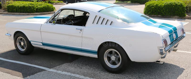Shelby Mustang Rear View