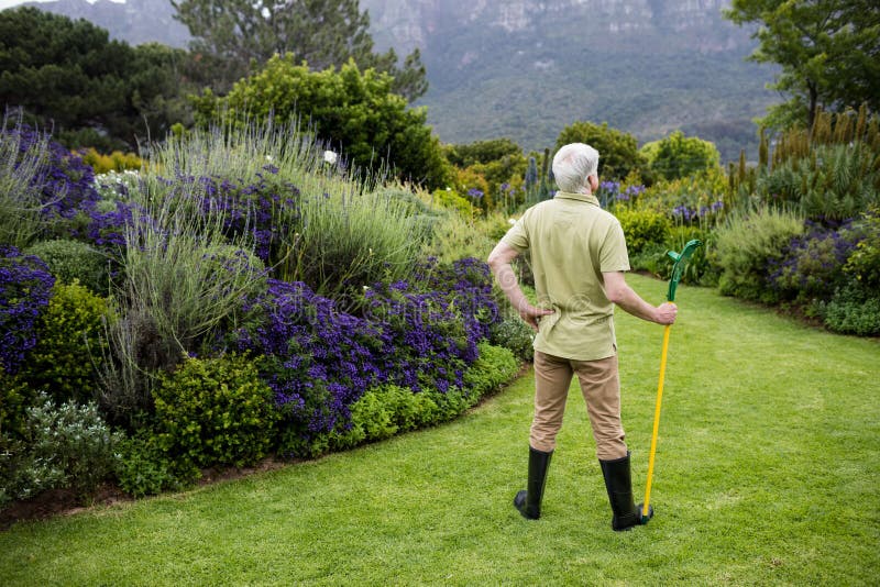Rear View of Senior Man Standing with Garden Tool Stock Photo - Image ...