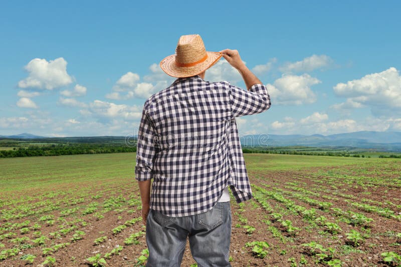 Rear View Shot of a Farmer Looking at a Plantation Stock Photo - Image ...