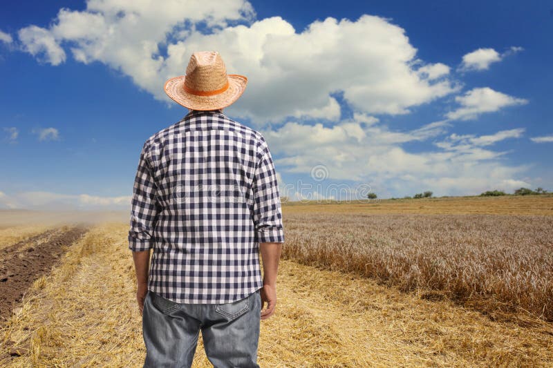 Rear View Shot of a Farmer Looking at a Field Stock Image - Image of ...