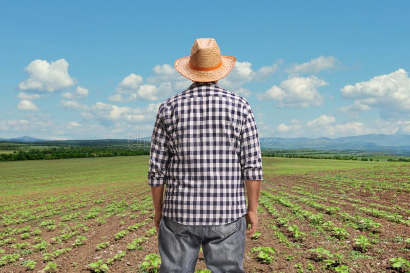 Rear View Shot of a Satisfied Farmer Looking at a Field Stock Image ...