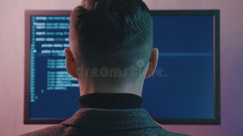 Rear View of Software Developer Working on Project. Portrait of Man ...