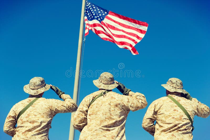 Soldiers saluting stock photo. Image of glove, salute - 29659866