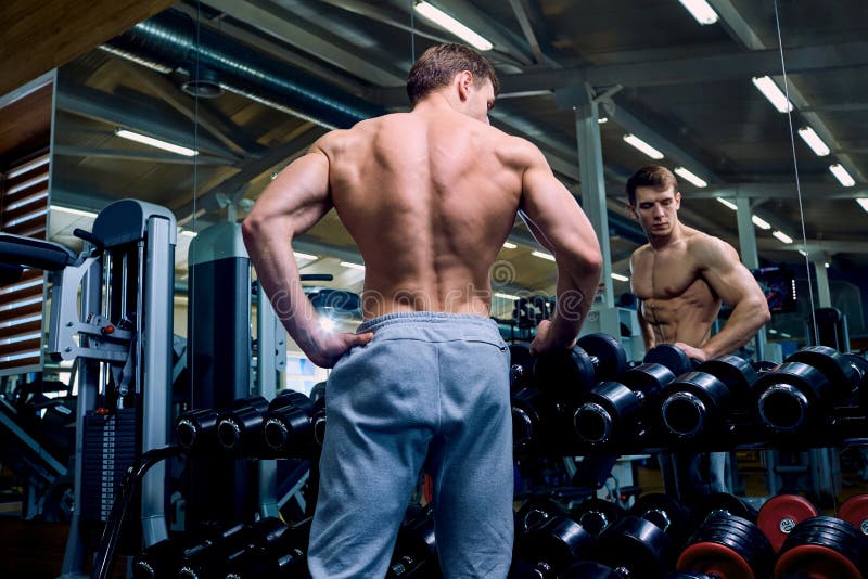 Rear View of a Sporty Man with Muscles in the Gym Stock Image - Image ...