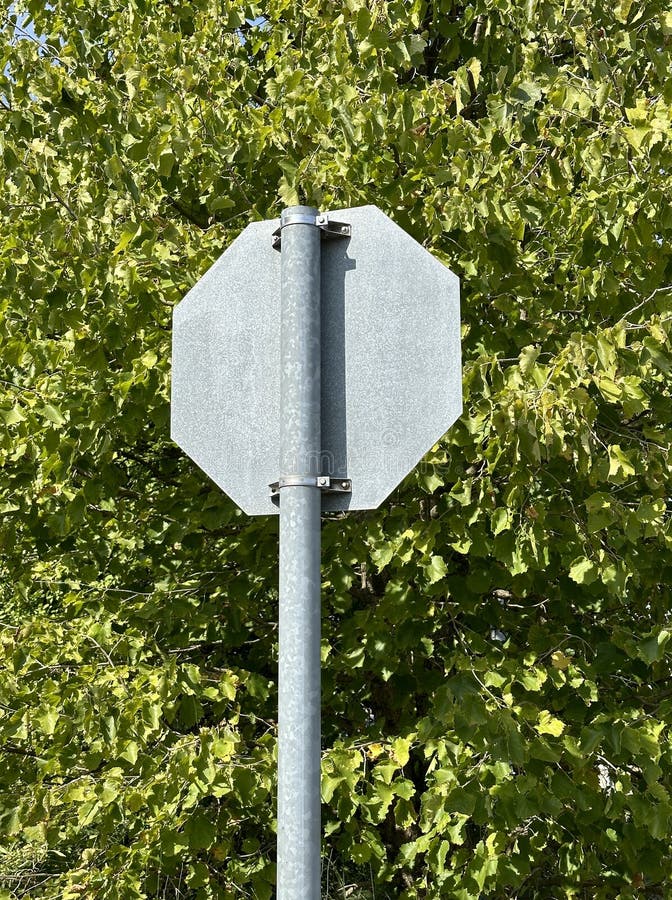 Rear View of a Stop Sign Against Green Tree Leaves Stock Image - Image ...