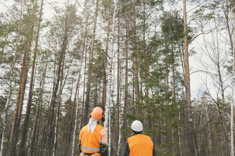 Forest Ranger Rear View Stock Photos - Free & Royalty-Free Stock Photos ...