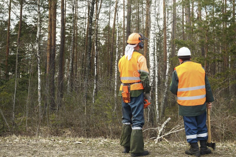 Rear View, Two Lumberjack Looking at the Forest Stock Image - Image of ...