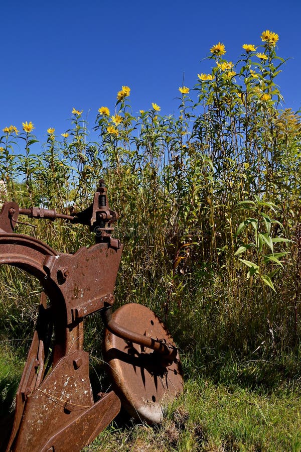Rear Wheel of an Old Rusty Trip Plow. Stock Image - Image of furrow ...