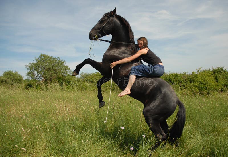 Pony Rearing With Rider