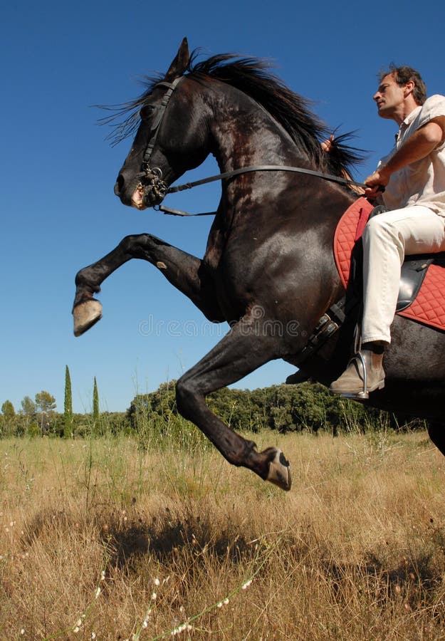 Bullfigting in Bullring Las Ventas, Madrid, Spain. Stock Photo - Image ...