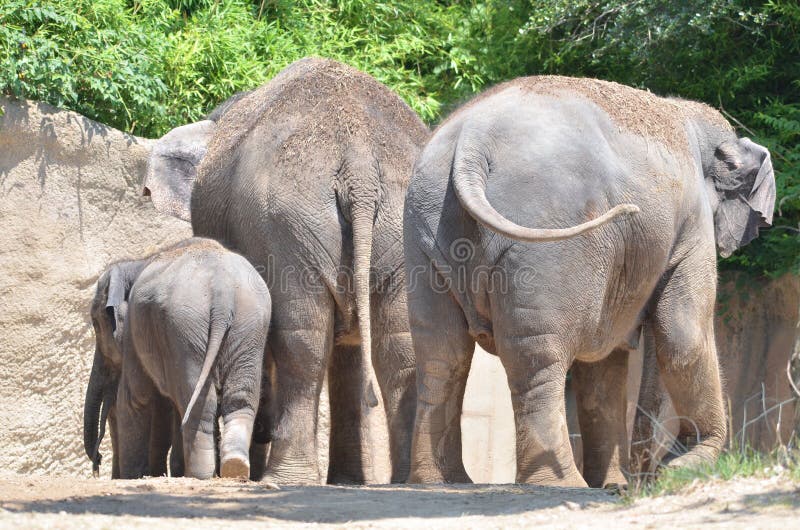 Rearview 2 stock photo. Image of back, dirt, bottoms - 35883344