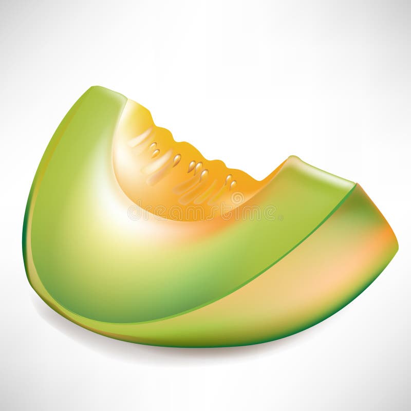 Rebanada de melón ilustración del vector. Ilustración de blanco - 21740800