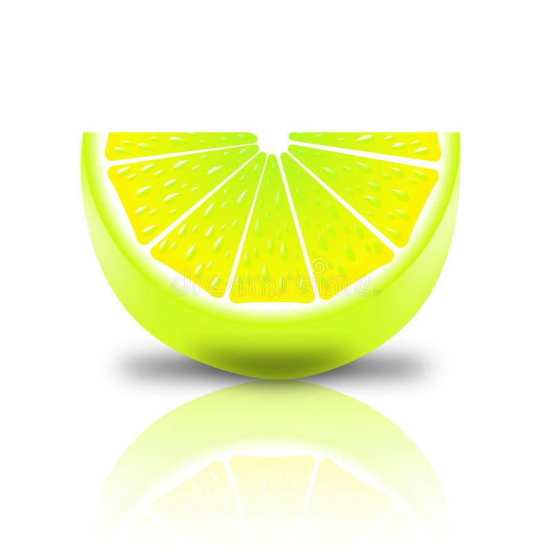 Rebanada del limón stock de ilustración. Ilustración de jugo - 12673517