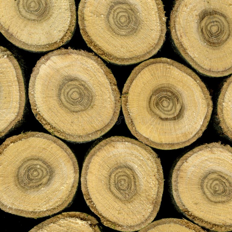 Rebanadas De Madera De Roble Imagen de archivo - Imagen de macro, cruz: 6943489