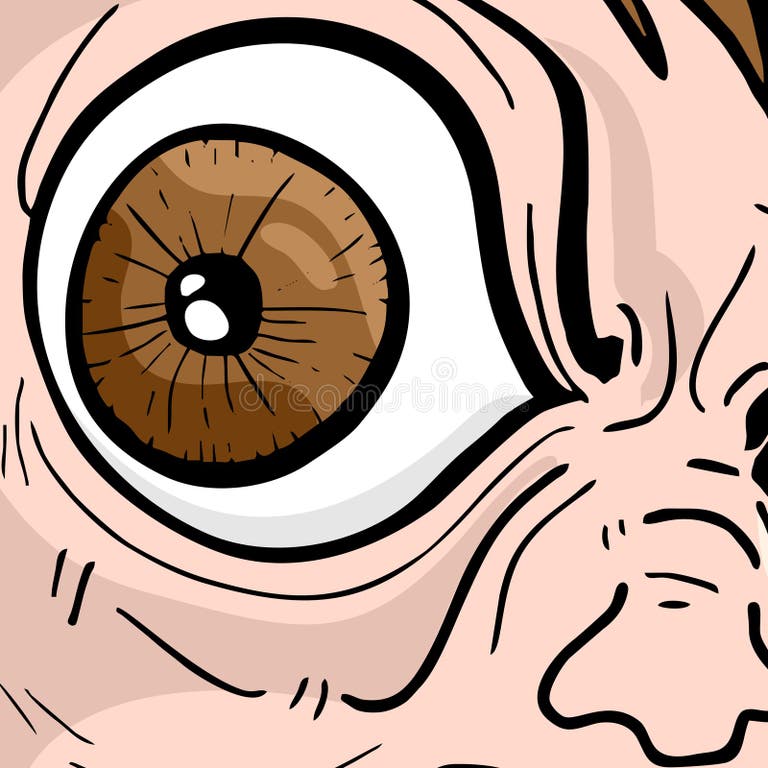 Rebel eye stock vector. Illustration of iris, dirt, eyelashes - 43815177