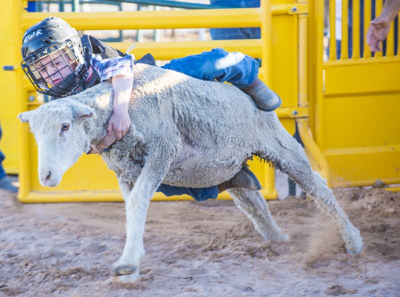 Rebentar Da Carne De Carneiro Foto de Stock Editorial - Imagem de ...