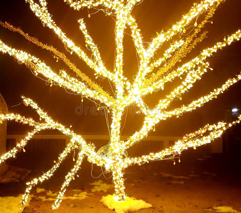 Rebirth with Light stock image. Image of rebirth, light - 143923359