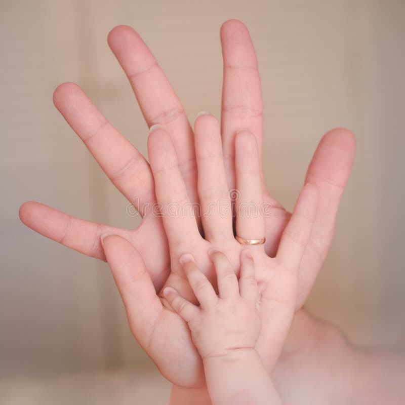 Rebirth of a new life stock photo. Image of rebirth, baby - 88987292