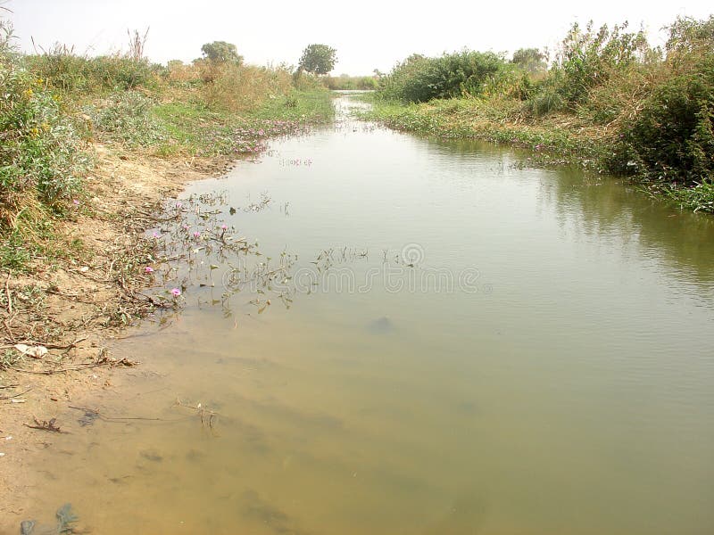 Receding River stock image. Image of farmland, quench - 49273761