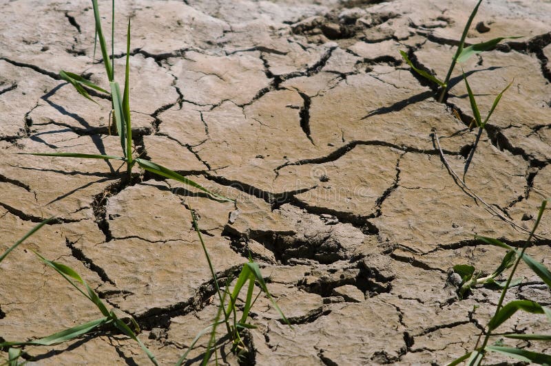 Receding Water stock photo. Image of receding, scorched - 24579348