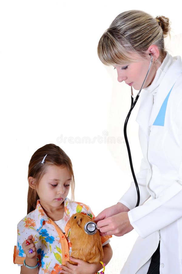 At a reception at the vet stock photo. Image of person - 21708462