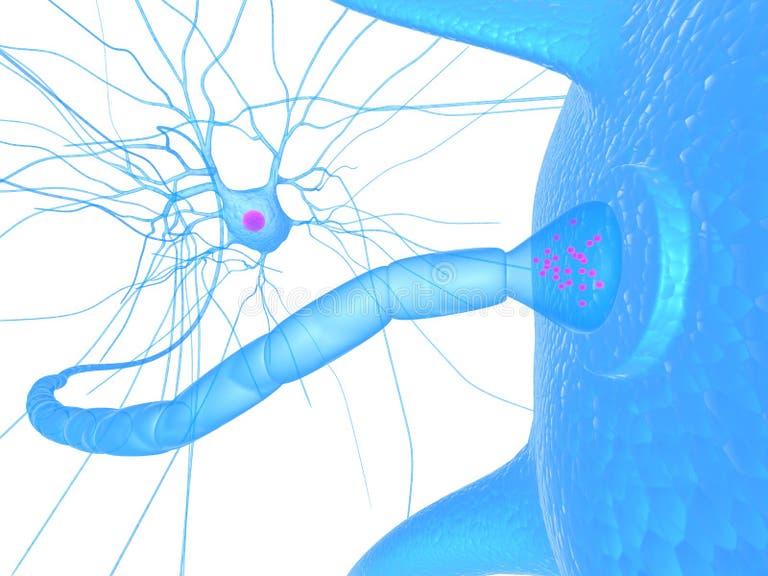 3d Cell Receptor Stock Illustrations – 2,920 3d Cell Receptor Stock ...