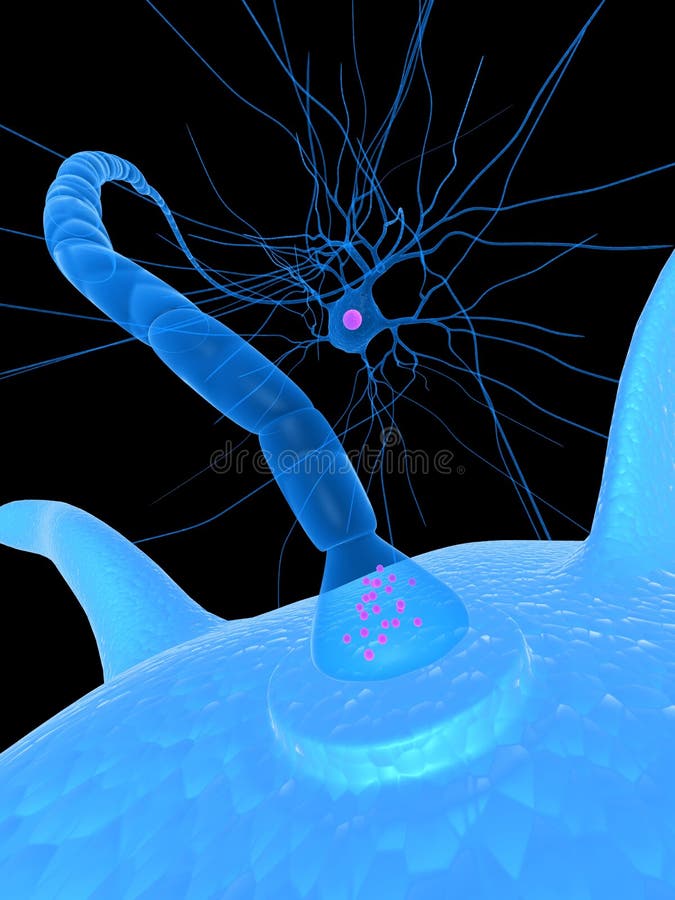 Receptor stock illustration. Illustration of neuron, biology - 13803487