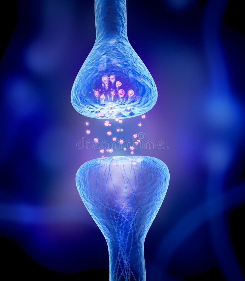 Cerebro Humano Y Receptor Activo Stock de ilustración - Ilustración de ...