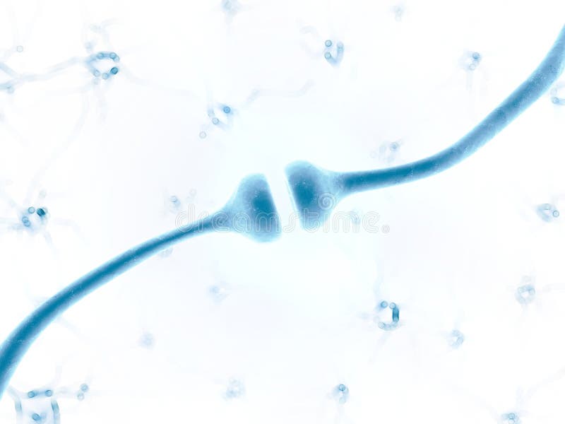 Receptor humano stock de ilustración. Ilustración de brainstorm - 30724661