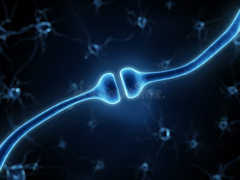 Receptor humano stock de ilustración. Ilustración de neurona - 30724689