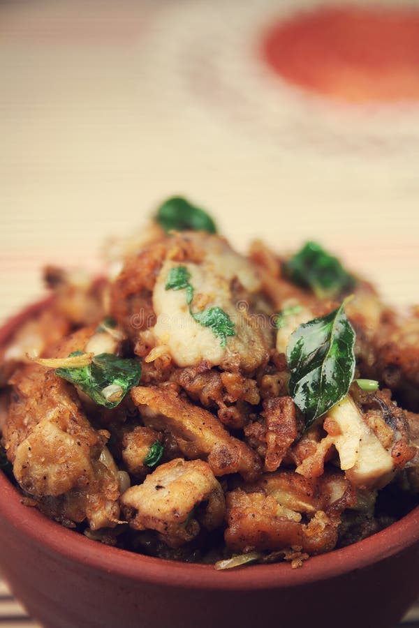 Receta Tradicional India De La Seta Imagen de archivo - Imagen de ...