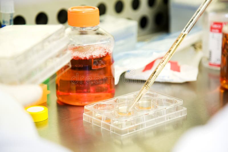 Recherche de la Science photo stock. Image du biologie - 3714566