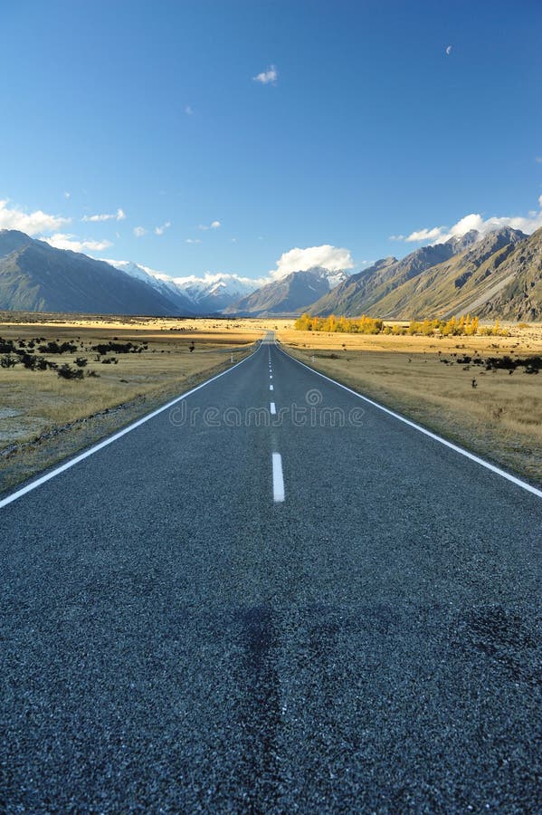 Rechte Lege Asfaltweg in Het Bos Met Bomen Aan De Zijkanten Een ...