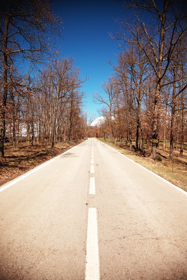 Rechte Weg Onder Wijngebieden in De Lente Stock Foto - Image of ...