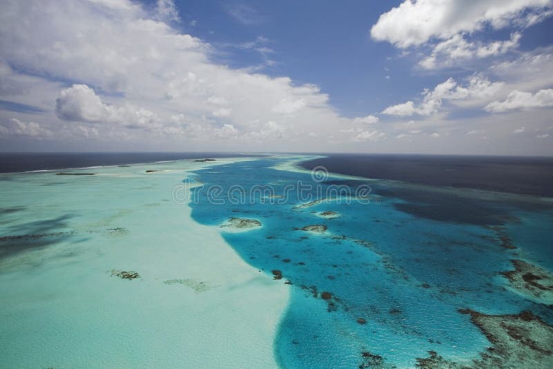 Recife coral espectacular imagem de stock. Imagem de calma - 19387837