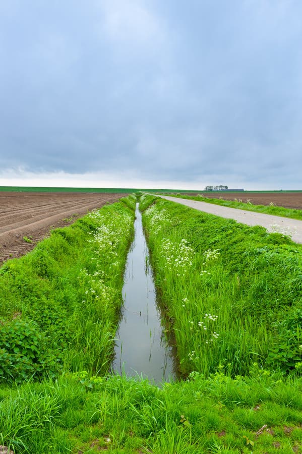 Reclaimed Land stock photo. Image of farming, outdoor - 31022120