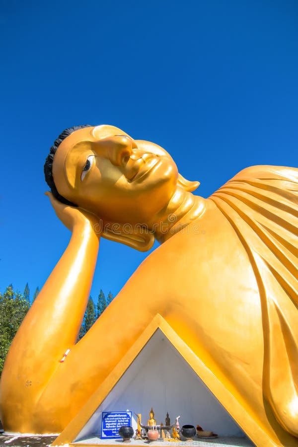 260 Reclining Position Stock Photos - Free & Royalty-Free Stock Photos ...