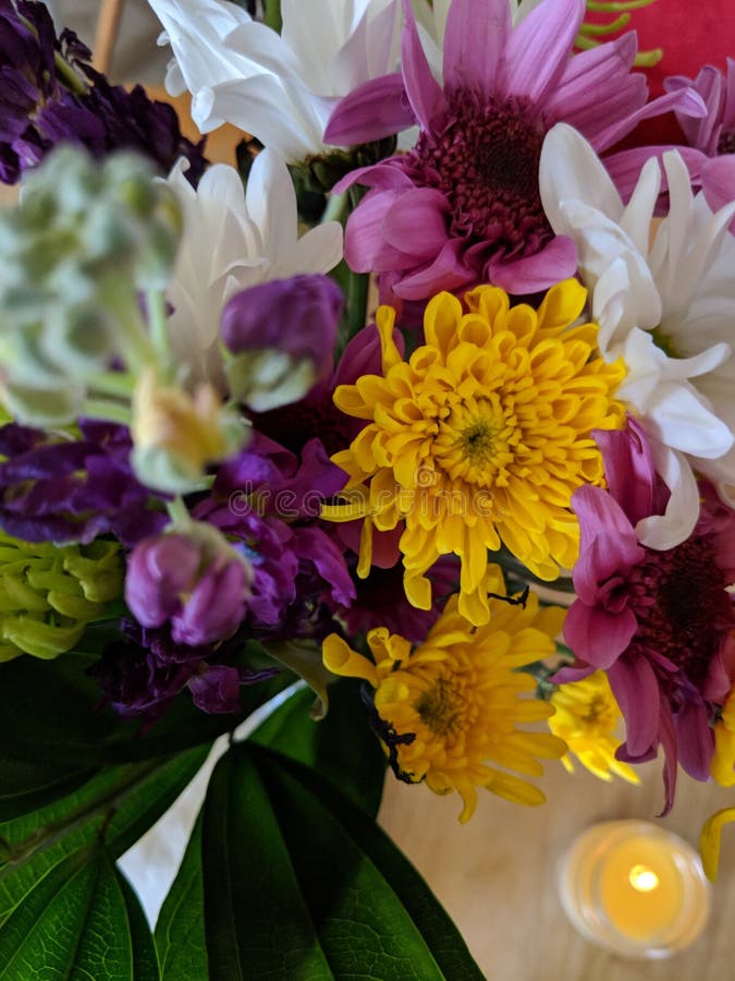 Focus on the flowers stock image. Image of flowers, focus - 124841035