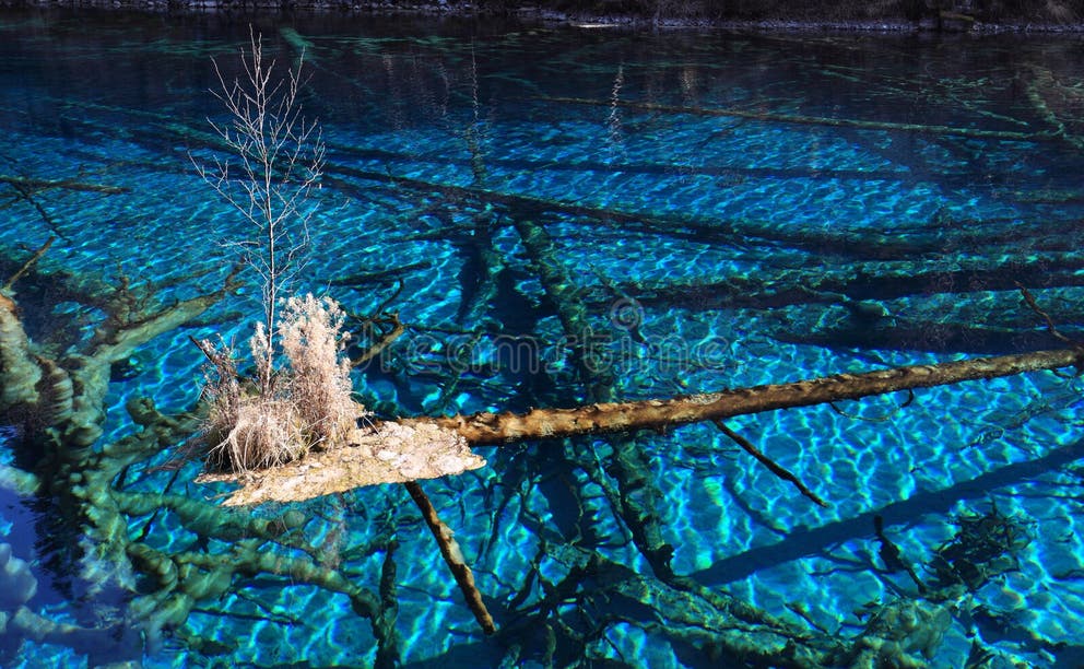 Recollection of events stock image. Image of lucid, rainbow - 23046583