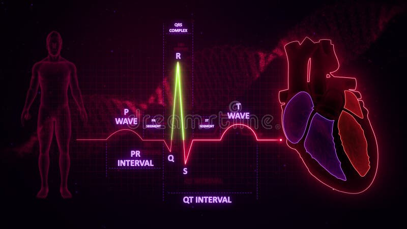 R Wave from Electrocardiogram Wave or ECG or EKG Stock Illustration ...