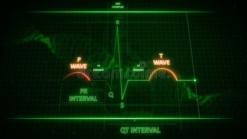 P and T Wave of Electrocardiogram Wave or ECG or EKG Stock Illustration ...